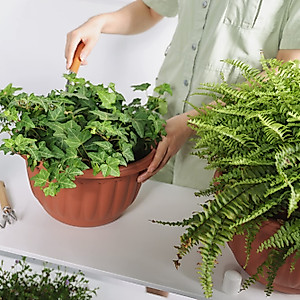 YIKUSH Hanging Planter for Indoor and Outdoor Plants 2 Pack 12inch Flower Pot Plastic Plant Pot with Drainage Hole and Absorbing Tray（Terracotta,with 3 Hooks）