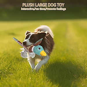 Stuffed Plush Dog Toys for Medium Dogs Squeaky Dog Toys for Dogs Squeaky Plush Dog Toys for Medium Dogs Small Dogs for Teething