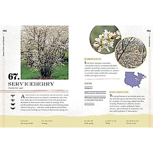 100 Plants to Feed the Bees: Provide a Healthy Habitat to Help Pollinators Thrive