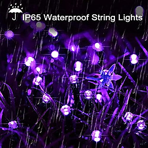 YAKEXI Christmas Solar String Lights Purple 72ft 200 LED 8 Modes Outdoor Solar Powered String Lights Waterproof Solar Fairy Lights for Tree Garden Fence Balcony,Outdoor Christmas Decoration Lights