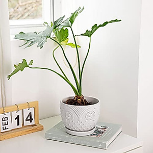 Greenaholics Owl Planters Ceramic Animal Plant Pots- 6.1 Inch White Succulents Aloe Planter Indoor Large Animal Flower Pots with Attached Tray and Drainage Hole for Cactus Snake Plant Decorative Gifts