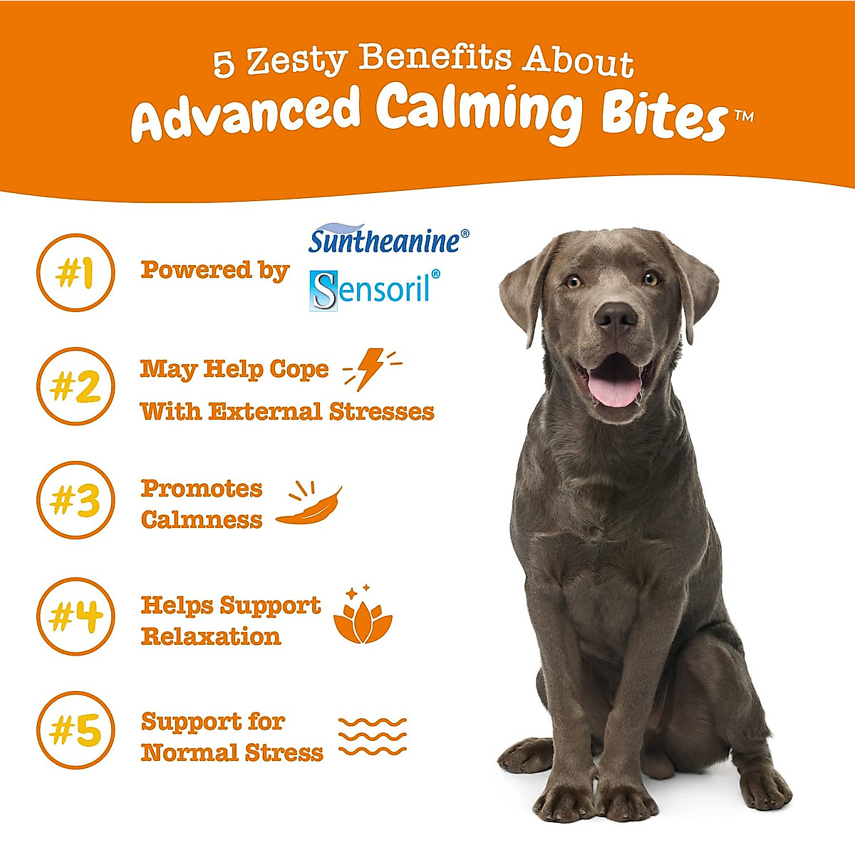 Zesty Paws Calming Soft Chews for Dogs - Melatonin, Ashwagandha + Multifunctional Supplements for Dogs - Glucosamine Chondroitin for Joint Support