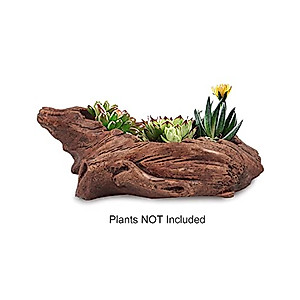 Dahlia Driftwood Stump Log Concrete Planter/Succulent Pot/Plant Pot, 7.9L x 4.3W