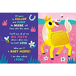 Baby Farm Animals - Silicone Touch and Feel Board Book - Sensory Board Book