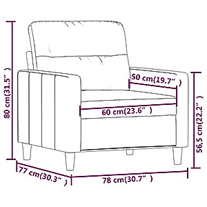 WHOPBXGAD Sofa Chair,Living Room Sofas, upholstered Sofas for Living Rooms, bedrooms, Offices and Apartments,Dark Gray 23.6" Fabric