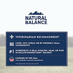 Natural Balance Health Protection Small Breed Dry Dog Food – Whole Body Health, Easy on Digestion Dog Food Made with Chicken, Brown Rice & Pumpkin for Dogs - 4lbs.
