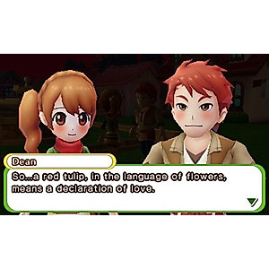 Harvest Moon Skytree Village - Nintendo 3DS