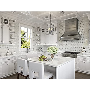 Pfister Highbury Kitchen Faucet with Pull Down Sprayer, Single Handle, High Arc, Stainless Steel Finish, LG529HGS