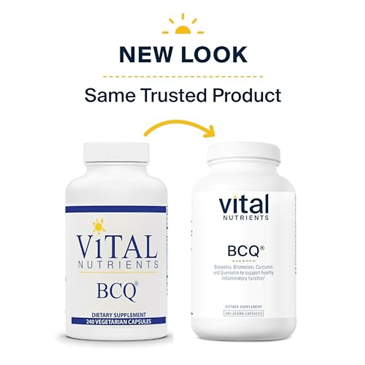 Vital Nutrients BCQ | Vegan Boswellia, Bromelain, Curcumin & Quercetin Supplement | Joint Support Supplement | Supports Sinus & Digestive Health | Gluten, Dairy, Soy Free | 240 Capsules