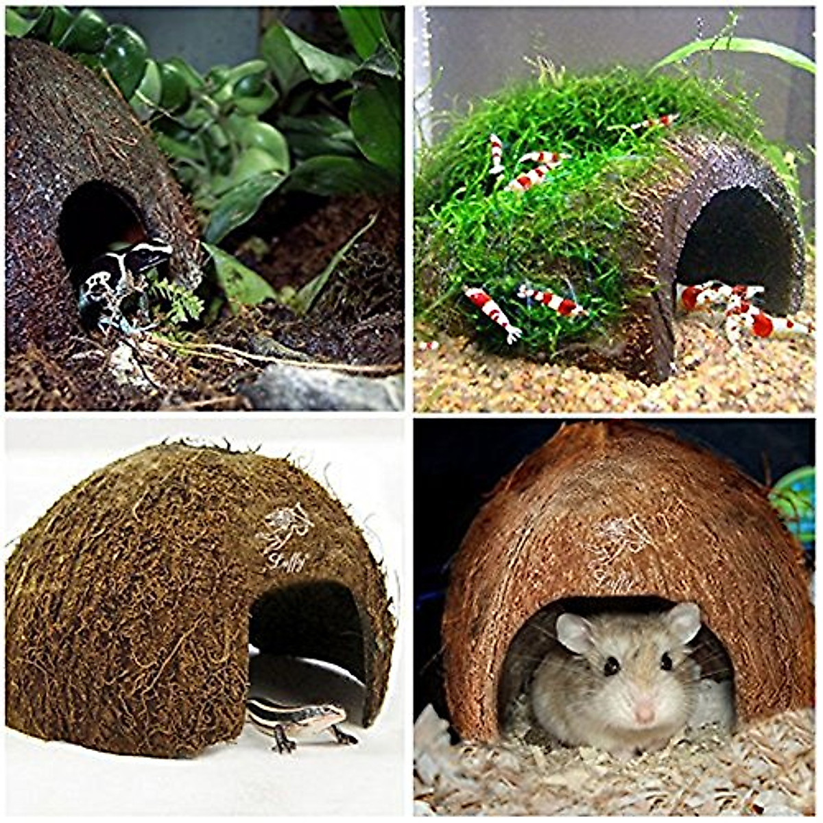 PINVNBY Natural Coconut Reptile Hideouts Lizard Coco Hut Hermit Crab Hut Aquarium Fish Hide Cave Spider Snail Climber Toys (2 Packs)