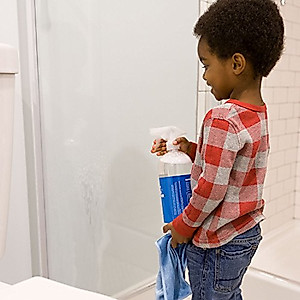 Better Life Natural Streak Free Glass Cleaner, 32 Ounces (Pack of 2), 24425