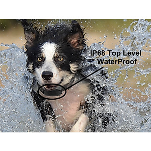 UltraCrab Basic In-Ground Pet Fence - Underground Electric Pet Fence System with Waterproof and Rechargeable Training Collars - Electric Fence for Dogs