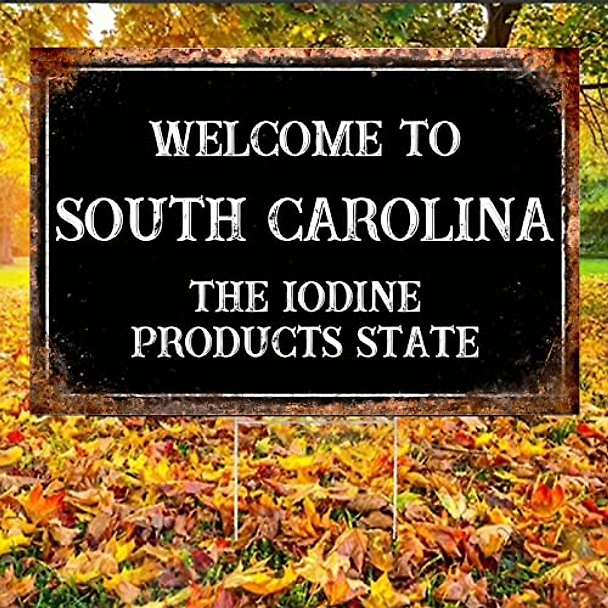 Augwed Welcome to South Carolina The Iodine Products State Yard Signs South Carolina State Yard Sign with Stake 12x18in Weatherproof Yard Signs Garden Party Supplies Lawn Outdoor Decor