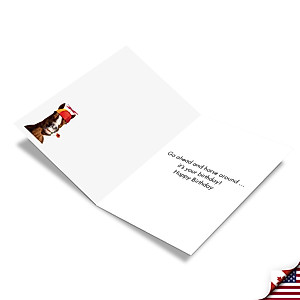 NobleWorks - 1 Happy Birthday Card with Funny Animals - Wildlife and Pet Humor, Fun Birthday Celebration Notecard - Horse Around C9304BDG