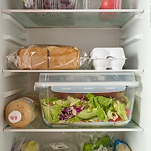 PandPot XXXXX-Large Glass Handy Container with Locking Lid 220OZ BPA Free Borosilicate Glass Family Size Party Size Extra Large Glass Locking Lid Bakeware Baking Dish with Airtight Lid with Handle