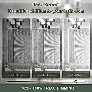 TokeShimi 48 x 24 Inch LED Backlit Vanity Bathroom Mirror Anti-Fog, CRI 90+, 6000K Wall Mounted Lighted Mirror Whit Memory Function, Large Dimmable Backlights Mirror