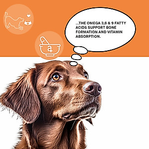 animaux - Omega Complete for Dogs Fish Oil Tablets, Omega 3,6 & 9 Fatty acids to Support Vitality, Bone Structure, Barf Supplement, Salmon Oil for Skin & Coat, 50 chewable Tablets, 100 Days Supply