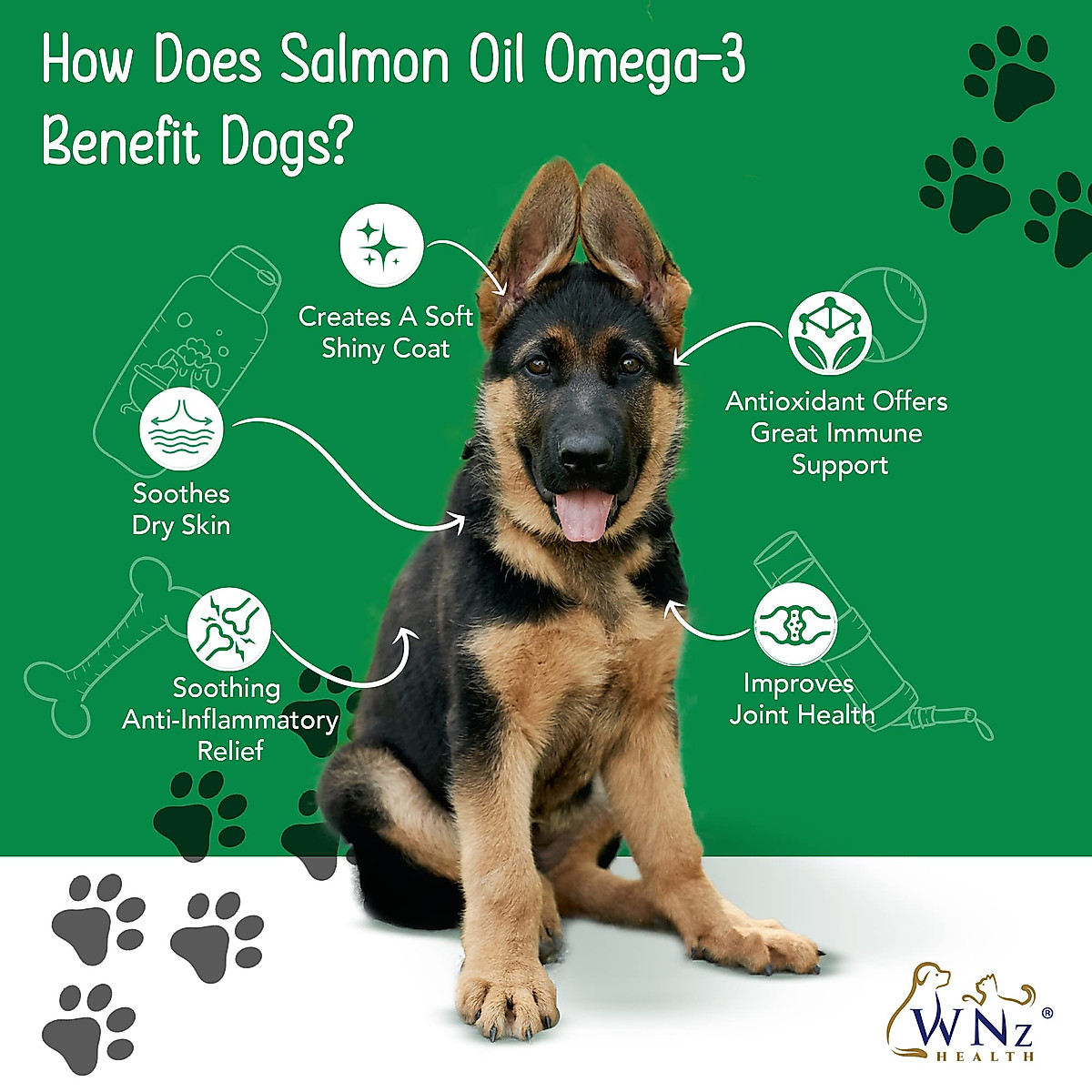 Omega 3 Skin and Coat Chews for Dogs, Dog Salmon Oil Supplement for Joint Pain Relief, Immune Support, Skin and Coat Supplements for Dogs, Chewable Dog Treats for Itchy Skin Relief, 55 Chews, 8 Oz