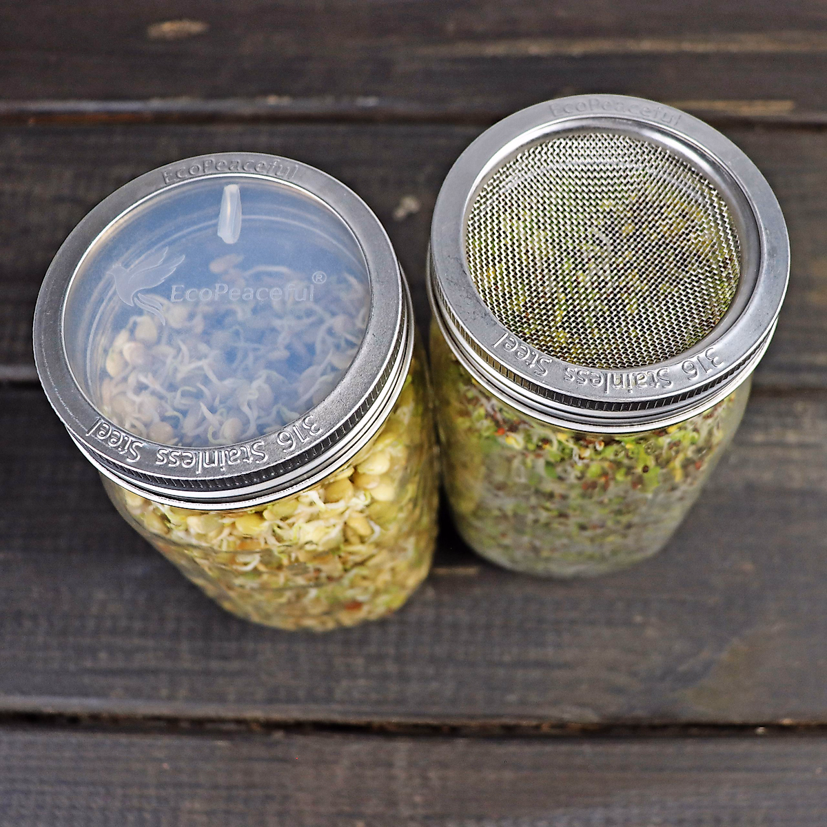 4 Pack (4 Rings, 4 Screens, 4 Inserts) Mason Jar Sprouting Lids - 316 Surgical Stainless Steel Sprouting Lids for Wide Mouth Mason Jars- Curved Strainer Lids, Silicone Inserts - Rust-Proof, BPA-free