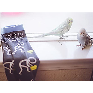 Crazy Dog T-Shirts Men's How To Pick Up Chicks Socks Funny Sarcastic Dating Easter Footwear