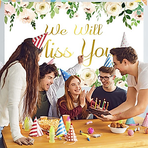 Vlipoeasn White Farewell Party Decorations, We Will Miss You Backdrop Banner, Goodbye Party Decorations for Coworker, Going Away Party Retirement Party Bye Office Work Graduation Party Decorations