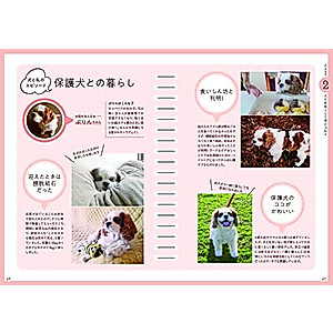 犬のいる暮らし 一生パートナーでいるために知っておきたいこと
