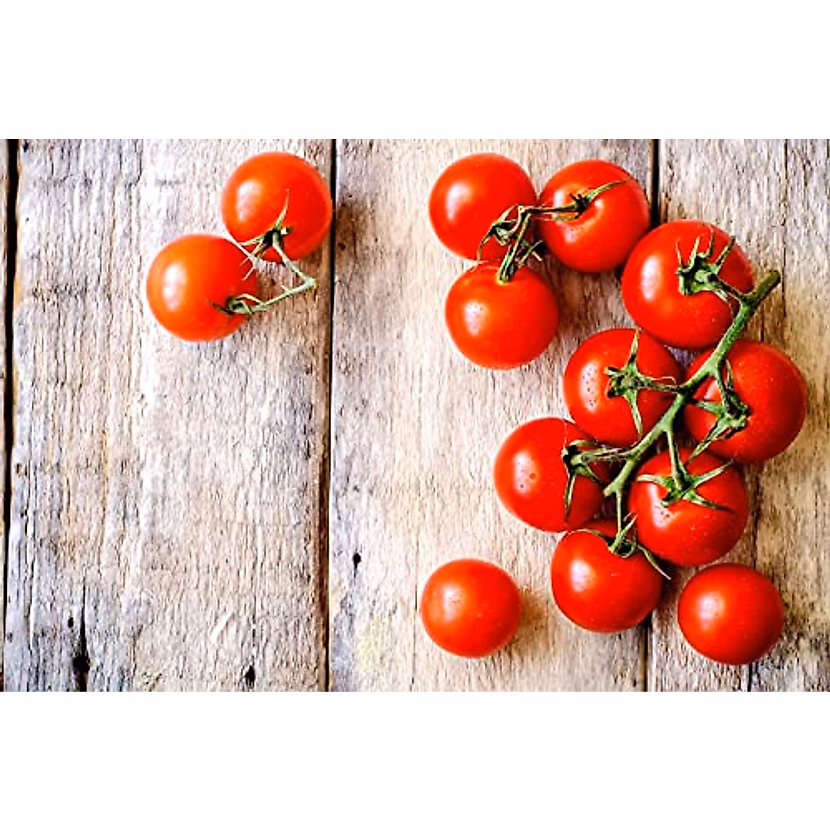 Dwarf Bush Tomatoes Seeds for Planting 25+ Seeds Indoor Vegetable Garden