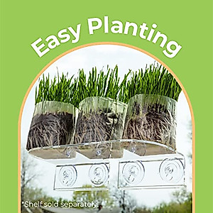 Window Garden Kit Cat Grass for Indoor Cats (3 Pack) - Easy to Grow Kitty Grass Kit, The Purr-FECT Catnip Growing Kit with Planter, Plant Kit Includes Organic Non GMO Wheatgrass Seed and Fiber Soil.