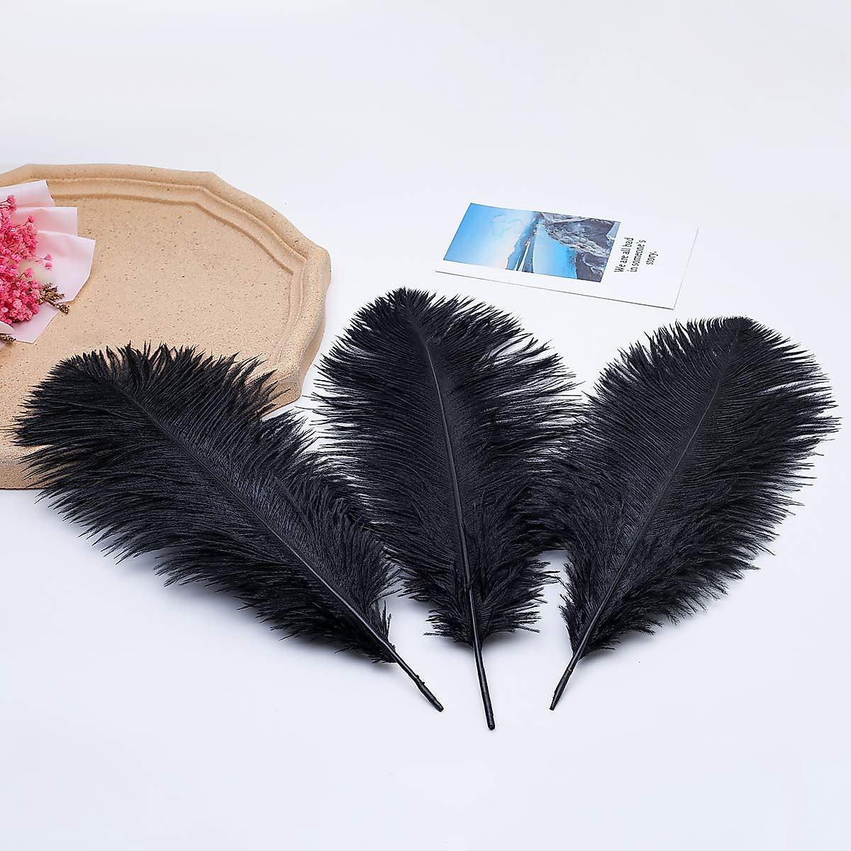 24pcs Natural Black Ostrich Feathers 10-12inch (25-30cm) for Wedding Party Centerpieces，Flower Arrangement and Home Decoration.
