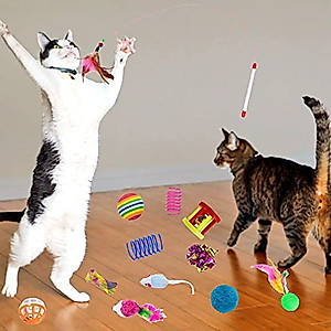 Cat Toys Set 36 PCS, Cat Toys Kitten Toys Interactive Cat Toys for Indoor Cats Collapsible Cat Tunnels Cat Feather Teaser Wand Feather Toy Springs Mouse Crinkle Balls Bell Play for Cat Kitty Kitten