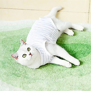 Cat Recovery Suit Post Surgery Shirt for Puppy, Wound Protective Clothes for Little Animals Dogs Cats (Large)