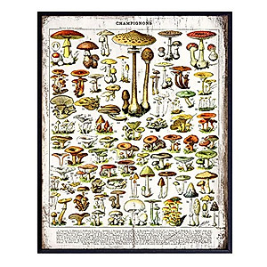 Dining Room, Kitchen Decor - Rustic Vintage Botanical Mushrooms Chart - Larousse Gastronomique Sign Photo Wall Art for Cafe, Restaurant - Unique Housewarming Gift -8x10 Boho Farmhouse Style
