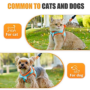 WOCUME Dog Harness with Leash Set, Step-in Breathable Puppy Cat Dog Vest Harnesses, No Pull Adjustable Reflective Puppy Harness with Soft Padded Vest for Extra-Small/Small Medium Large Dogs and Cats