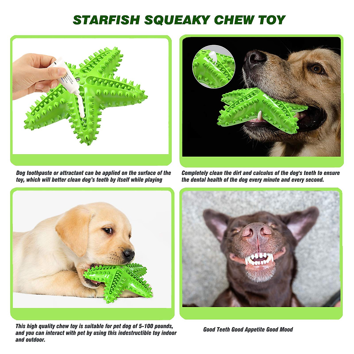 IDOLPET Dog Chew Toys Squeaky Dog Toys Dog Water Floating Toys Starfish Natural Tooth Brush Teeth Cleaning Toy for Small Medium Dog (Green)