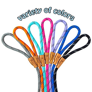 Petarea 5 FT Slip Lead Dog Leash, Heavy Duty Rope Leash for Small Medium Large Dogs, No Pull Training Lead with Reflective Thread, Strong Comfortable Loop Leash (Teal Stripe, Medium(3/8"))