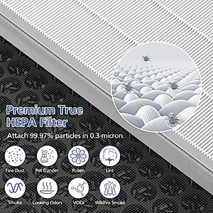 H7123101/H211/H211S Replacement Fil-ter for Govee Life Smart Air Puri-fier, H13 True HEPA Fil-ter & 4-Stage High-Efficiency Fil-tration, 2 Pack HEPA Fil-ter and 4 Pack Washable Pre-Fil-ter