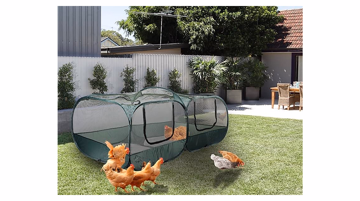 Kinsha Portable Chicken Coop Chicken with a New Upgraded Detachable ...