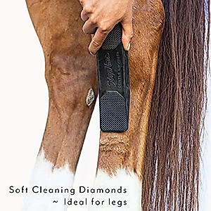 StripHair Gentle Groomer - Original for Horses Dogs 6-in-1 Shedding Grooming Massage