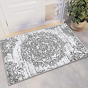 HEBE Washable Area Rug 2'x3' Non Slip Soft Distressed Medallion Bedroom Rug Boho Living Room Rug Accent Throw Rugs Vintage Entry Rug Floor Carpet for Dining Room Bathroom Entryway