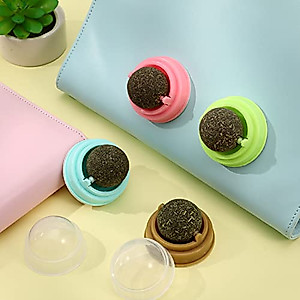 Catnip Wall Toys, 4 Pack Cat Toys, Rotatable Silvervine Catnip Lickable Balls, Safe Healthy Kitten Chew Toys, Teeth Cleaning Cat Bite Toy, Cat Wall Treats