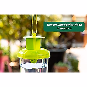RESCUE! WHY Trap for Wasps, Hornets, & Yellowjackets – Hanging Outdoor Trap