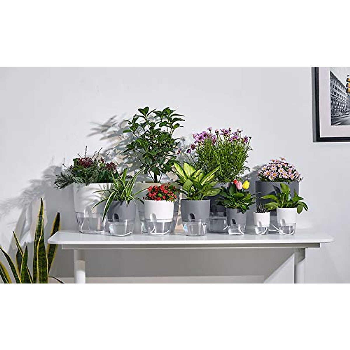 ETGLCOZY 6/4.1/3.2 Inch Self Watering Planter Pots, 5 Pack African Violet Pots for Indoor Outdoor Windowsill Gardens, Self Aerating, High Drainage, Deep Reservoir(Gray)