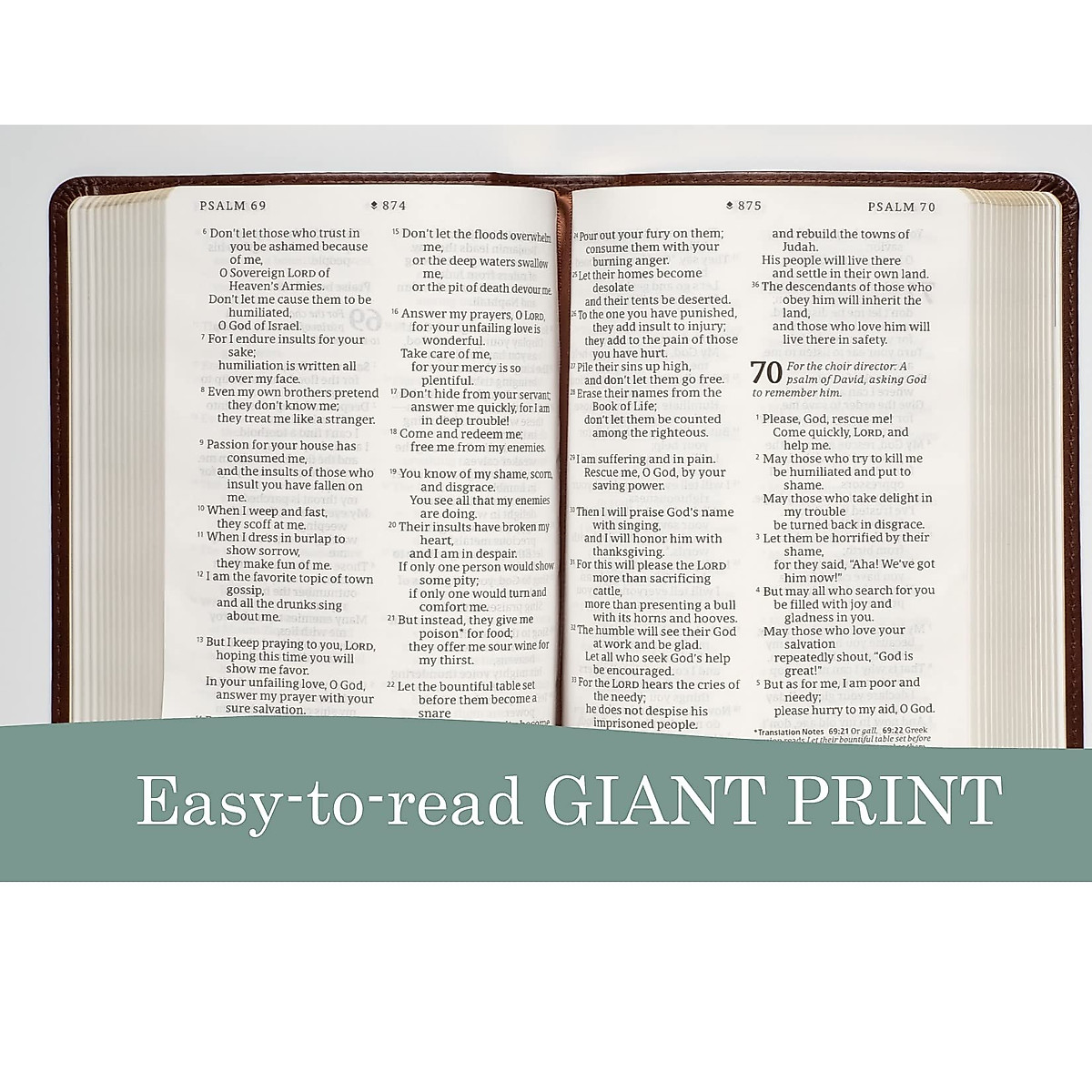 NLT Compact Giant Print Bible, Filament Enabled (LeatherLike, Mahogany Celtic Cross, Red Letter)