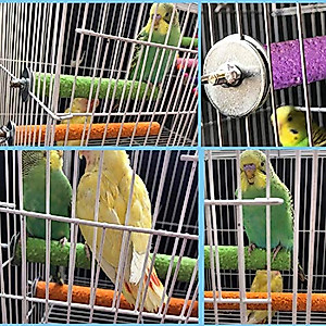 PINVNBY Parrot Bath Box Bird Bathtub Parakeet Bathing Tube with Bird Perches Stand Paw Grinding Cage Accessories Ideal for Small Brids Lovebirds Canary Finches(3 PCS Random Color)