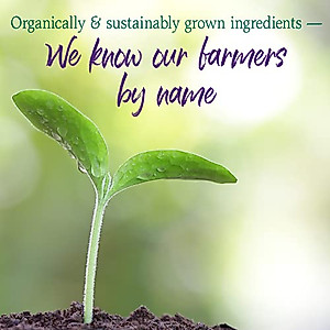 Garden of Life Raw Organic Perfect Food Alkalizer & Detoxifier Juiced Greens Superfood Powder - Lemon Ginger, 30 Servings - Non-GMO, Gluten Free Whole Food Dietary Supplement, Plus Probiotics