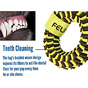 FELIXPAW Dogs Annular Toy Sensitive Colors and Protruding Shape Modeling Design Stimulate Dogs Long Time Playing Easier to Cleaning Teeth,for Small & Medium Dogs Training and Playing,Nylon