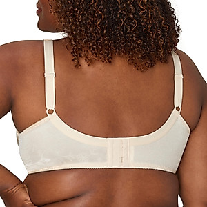 Playtex womens Secrets Love My Curves Signature Floral Underwire Full Coverage Us4422 bras, Natural Beige, 36DDD US