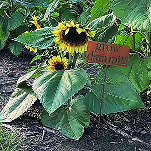 Island Genius Grow Dammit Funny Garden Décor Sign Gardening Gifts for Women and Men Who Love Plants