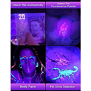 Fulighture Black Light Flashlight Mini, Small UV Black Light for Pet, Urine Detection for Dog Cat, Portable Ultraviolet Blacklight Flashlights 395nm, Resin Curing, Bed Bug, AAA Batteries Included