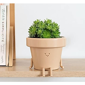 Sitting Indoor Plant Pot, Unique Cute Plastic Flower Pot with Face, 3.5 Inch Succulent/Cactus Gift Planter with Drainage Hole, Decorative Plant Pot, Novelty Planter (1x Sitting Pot)